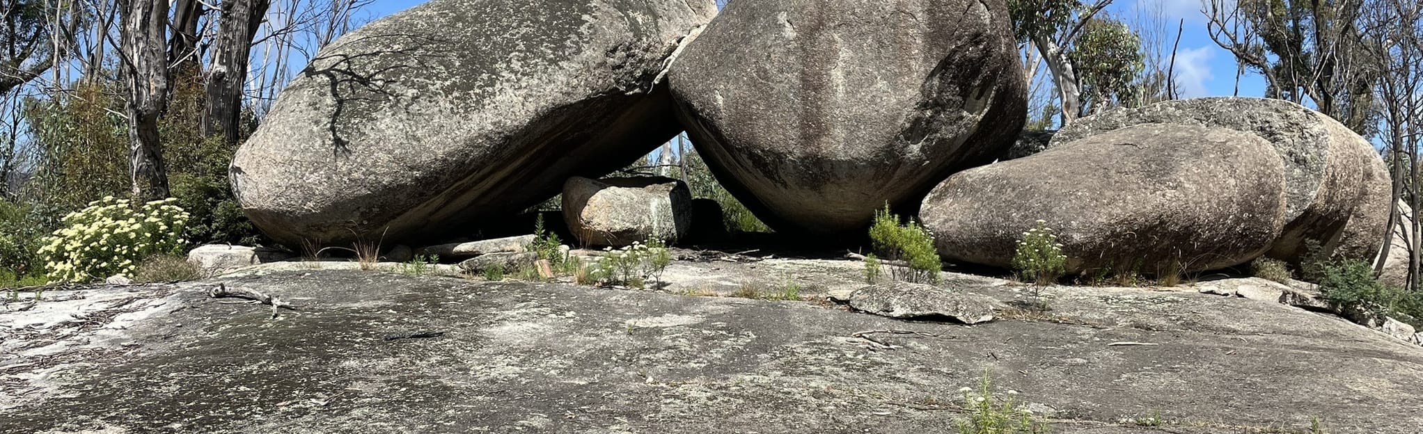 Orroral Ridge: Sentinel Rocks Walk: 3 Reviews, Map - Australian Capital ...