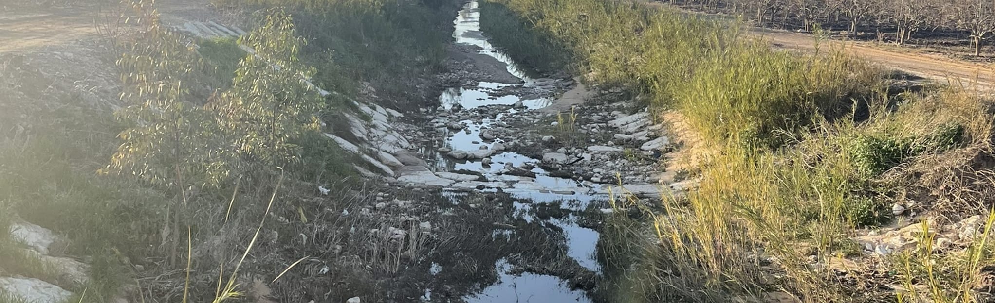 Netanya, Emek Hefer and Tel Yitzhak Nature Reserve, Central District ...