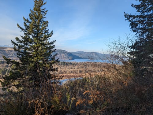 2023 Best 10 Trails and Hikes in Oregon | AllTrails