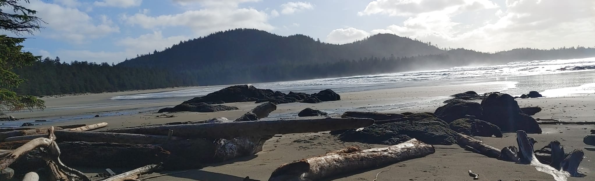 Raft Cove Trail, British Columbia, Canada - 53 Reviews, Map | AllTrails