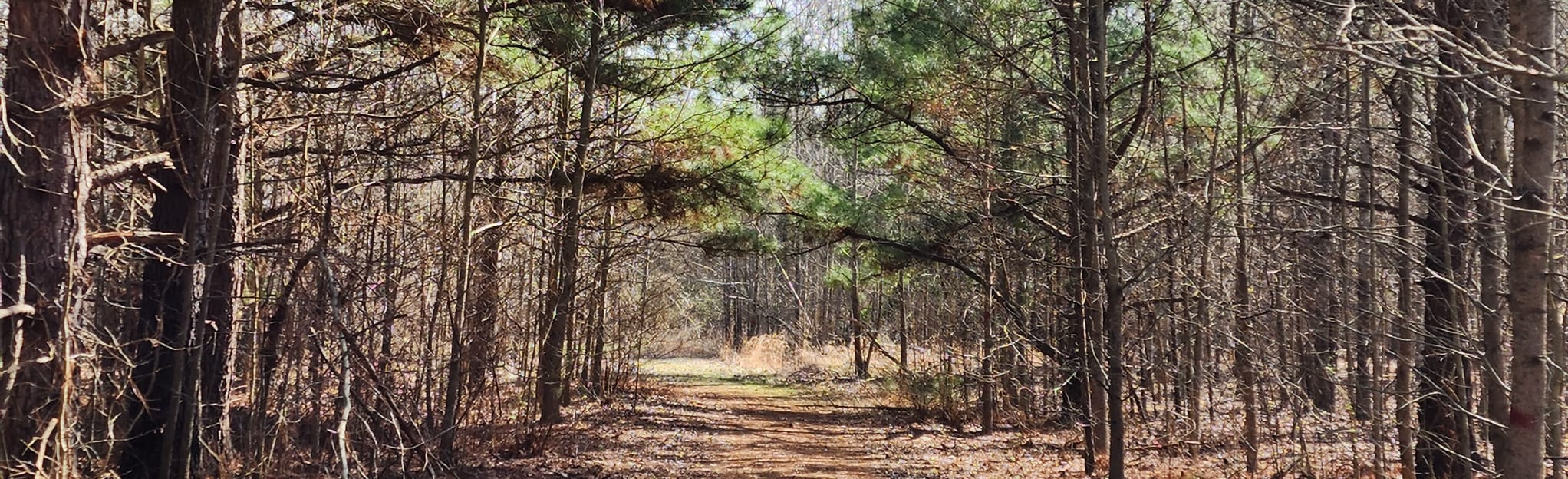 Edgewater Trail West Loop, Louisiana - 3 Reviews, Map | AllTrails