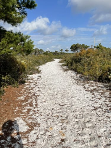 Best Hikes and Trails in Jupiter Ridge Natural Area | AllTrails