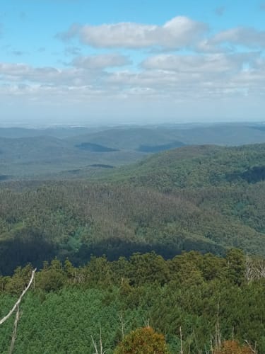 Best Hikes and Trails in Seven Acre Rock Natural Features and Scenic ...