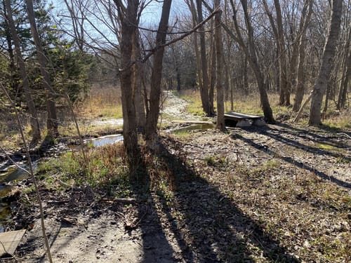 Best Hikes and Trails in Pettinger Nature Preserve | AllTrails
