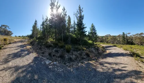 Best Hikes and Trails in Penrose State Forest | AllTrails