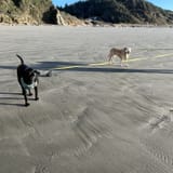Seven Devils Beach, Oregon - 27 Reviews, Map | AllTrails