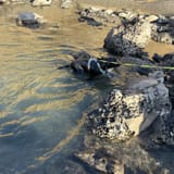 Seven Devils Beach, Oregon - 27 Reviews, Map | AllTrails