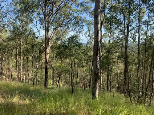 10 Best Hikes and Trails in Samford Conservation Park | AllTrails