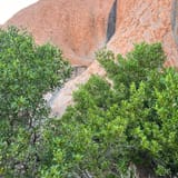 Kuniya Walk to Mutitjulu Waterhole, Northern Territory, Australia - 43 ...