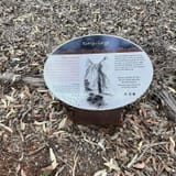 Kuniya Walk to Mutitjulu Waterhole, Northern Territory, Australia - 43 ...