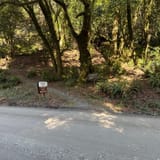 Myrtle Tree Trail, Oregon - 57 Reviews, Map | AllTrails