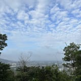 Bukit Soga Loop, Johor, Malaysia - 33 Reviews, Map | AllTrails