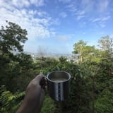 Bukit Soga Loop, Johor, Malaysia - 33 Reviews, Map | AllTrails