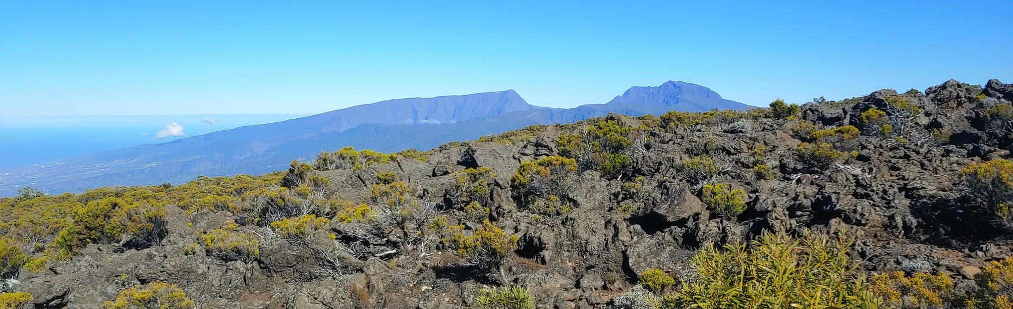 Sentier de Grand Coude au Morne Langevin: 58 Fotos - Réunion | AllTrails