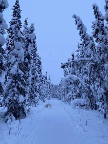 Best Hikes and Trails in Isberg Recreation Area | AllTrails