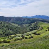 Autumn Ridge Trail, California - 397 Reviews, Map | AllTrails