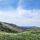 Autumn Ridge Trail, California - 397 Reviews, Map | AllTrails