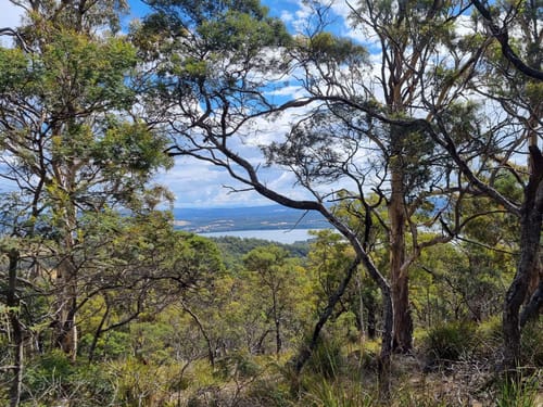 Best Hikes and Trails in Mount Direction Historic Site | AllTrails