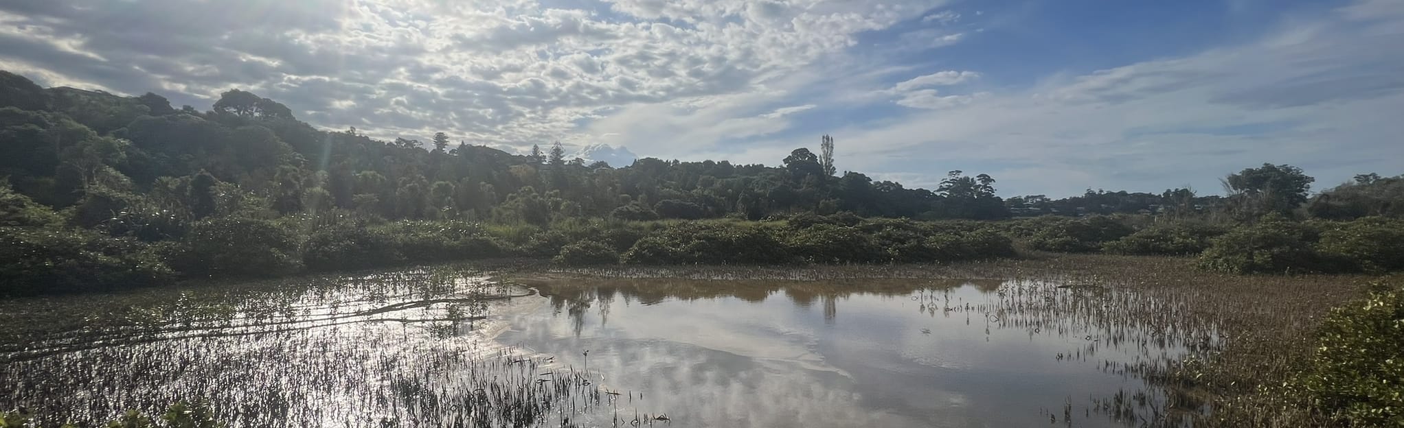 Tahuna Torea Lagoon Track - Auckland, New Zealand | AllTrails