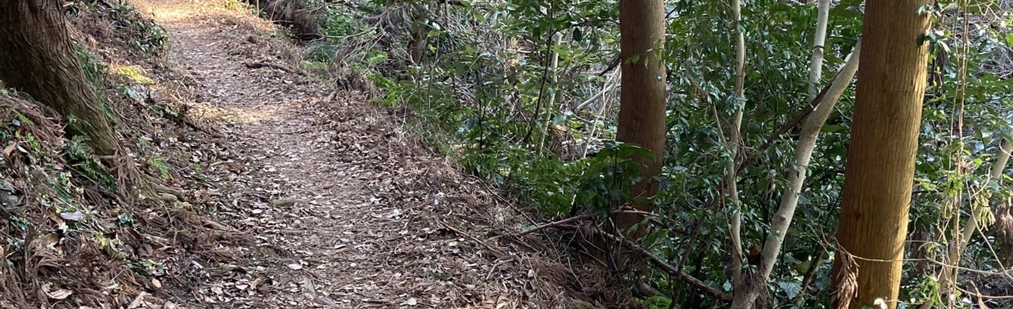 Nango Kaminoyama Park - Mount Nyuto - Hayama Town Hall: 3 Reviews, Map ...