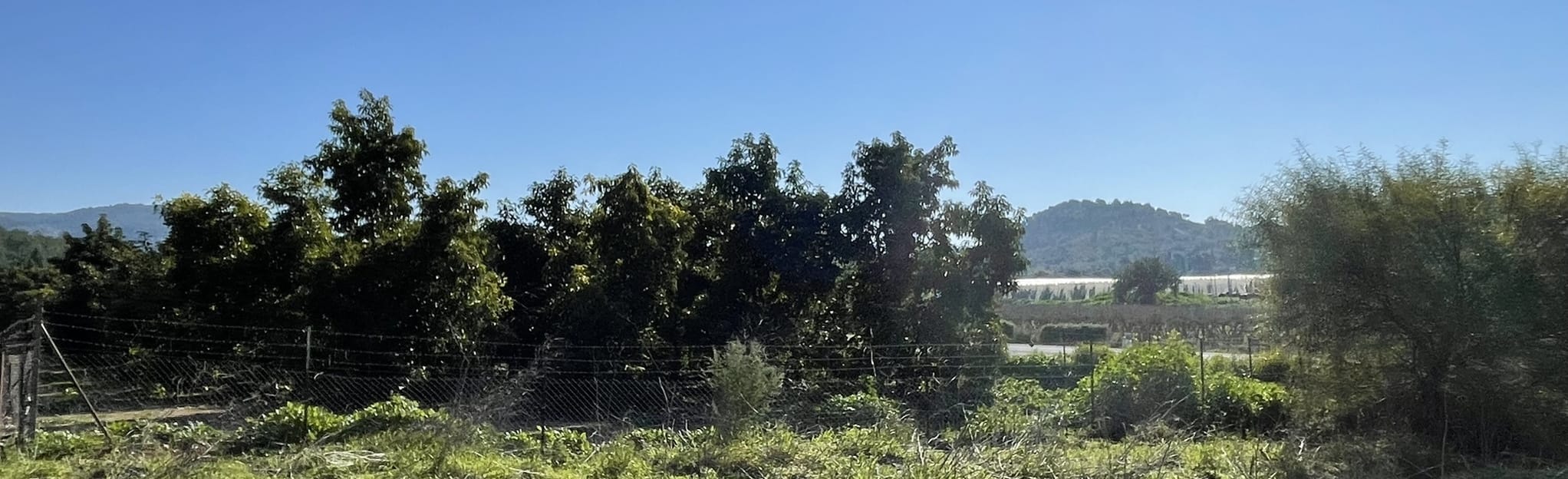 Hanita Singletrack, Northern District HaZafon, Israel - 28 Reviews, Map ...