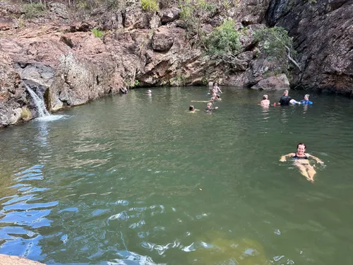 Best Hikes and Trails in Mount Mee State Forest | AllTrails