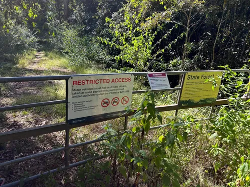 Best Hikes and Trails in Mount Mee State Forest | AllTrails