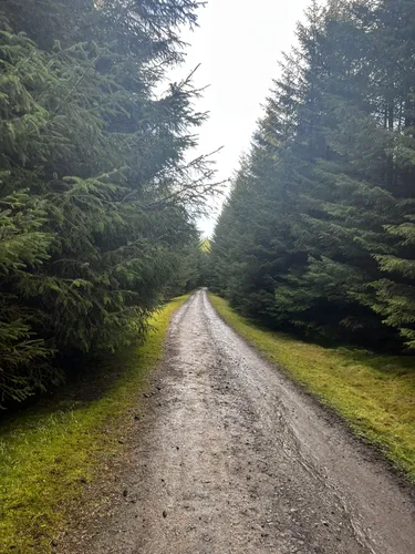 10 Best Walking Trails in Hexham | AllTrails