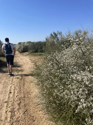 Best Hikes and Trails in Nitzanim Sands Nature Reserve | AllTrails