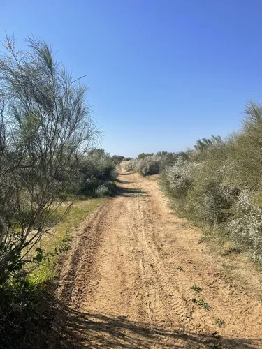 Best Hikes and Trails in Nitzanim Sands Nature Reserve | AllTrails