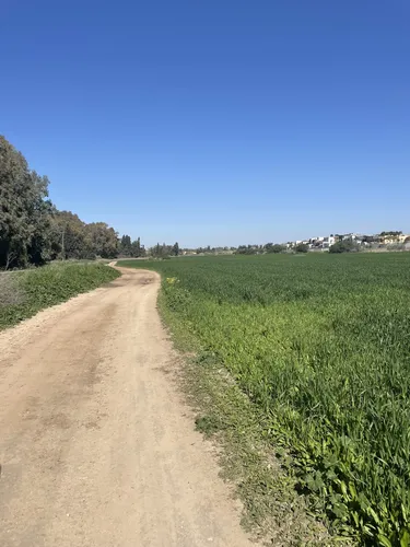 Best Hikes and Trails in Nitzanim Sands Nature Reserve | AllTrails