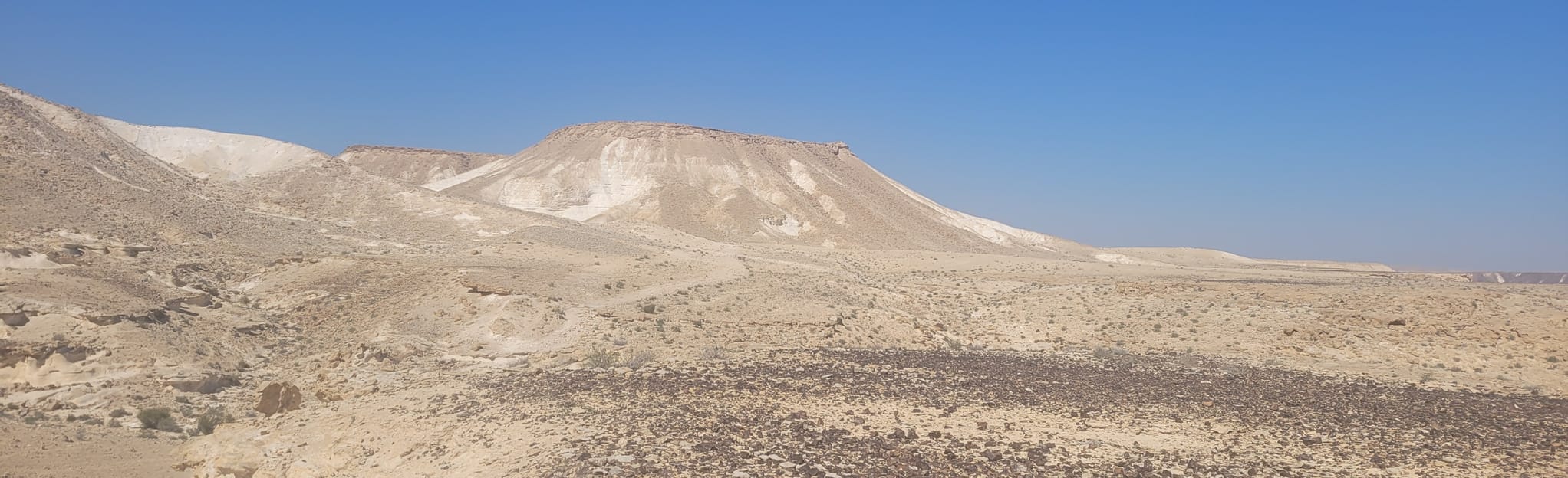 Nahal Zin, Ein Akev and Maale Zin Loop: 215 foto's - Southern District ...