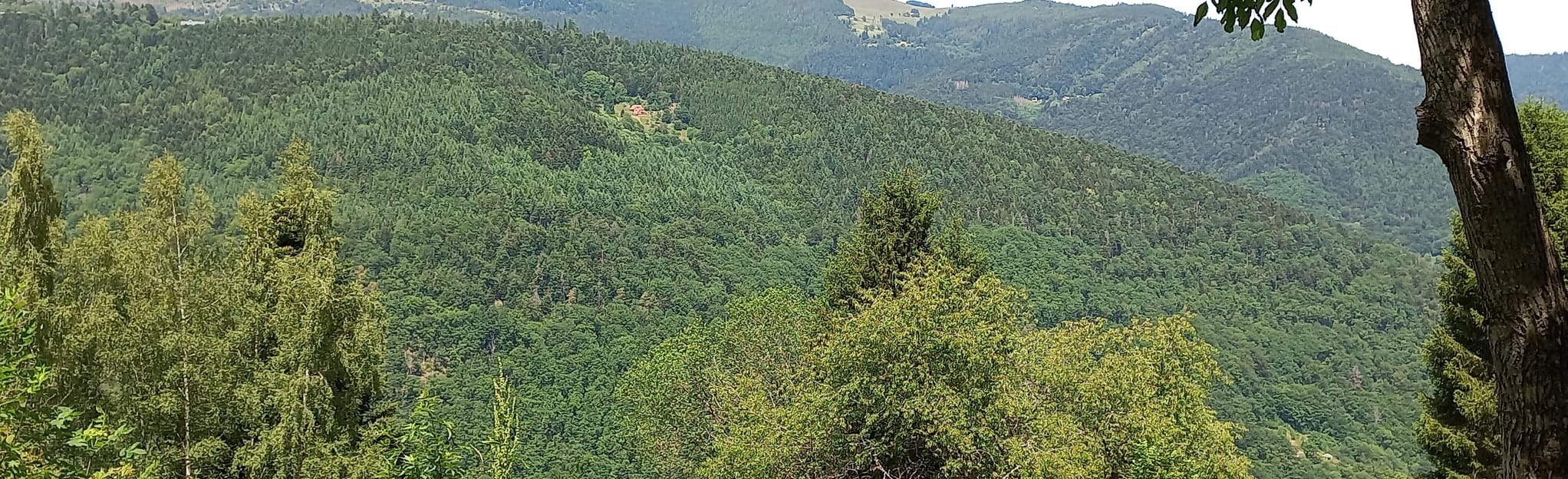 Monument Brun - Grand Ballon Loop: 15 Reviews, Map - Haut-Rhin, France ...