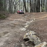 Nimblewill Gap OHV Road, Georgia - 363 Reviews, Map | AllTrails