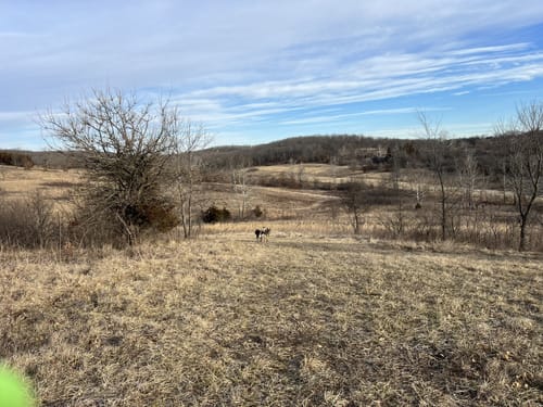 Best Hikes and Trails in Scrivner Road Conservation Area | AllTrails