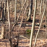 Chase Farm, Rhode Island - 275 Reviews, Map | AllTrails