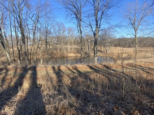 Best Hikes and Trails in Trine State Recreation Area | AllTrails