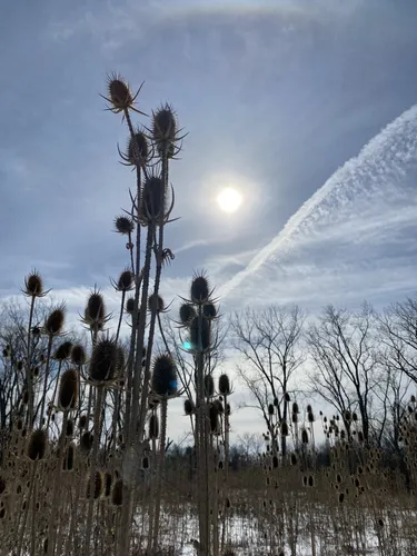 Best Hikes and Trails in Prairie Wolf Slough County Forest Preserve ...