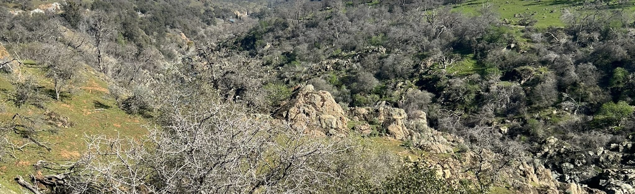 Stanislaus River Trail From Knights Ferry: 889 Reviews, Map ...