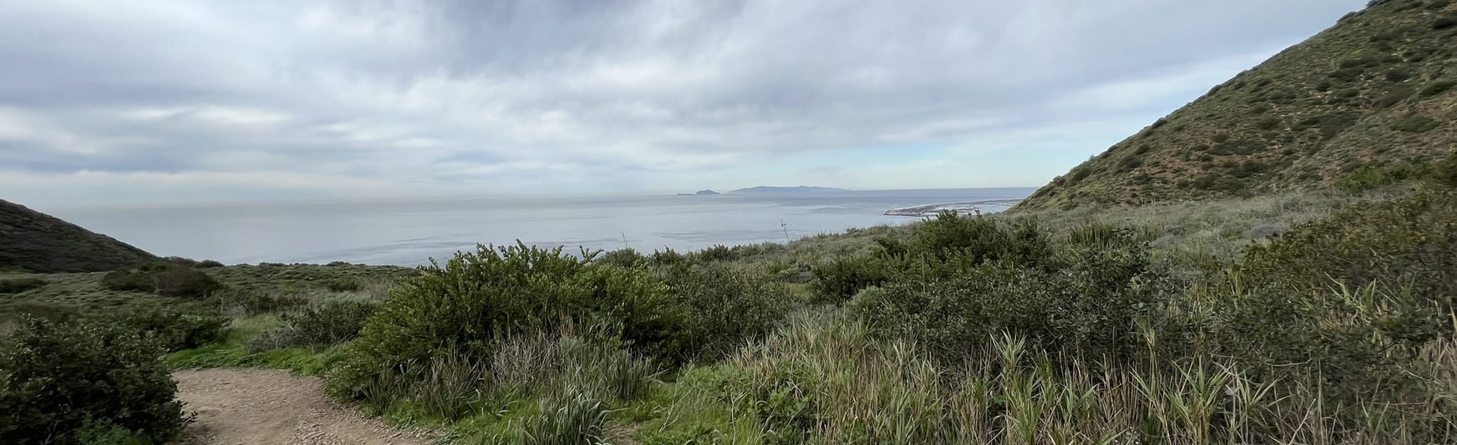 Chumash Trail (Short Route), California - 468 Reviews, Map | AllTrails