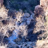 Sycamore Creek Trail, Arizona - 22 Reviews, Map | AllTrails