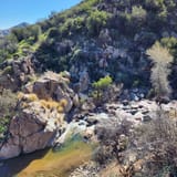 Sycamore Creek Trail, Arizona - 22 Reviews, Map | AllTrails