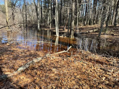 Best Hikes and Trails in Lind Farm Conservation Area | AllTrails