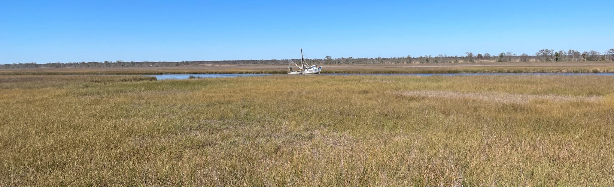 Scipio Creek Boardwalk: 32 Reviews, Map - Florida | AllTrails