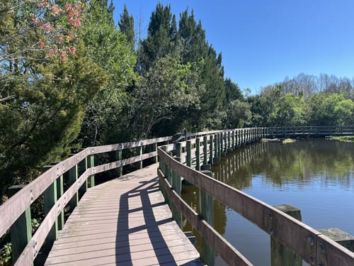 2023 Best trails in Largo Central Park Nature Preserve | AllTrails