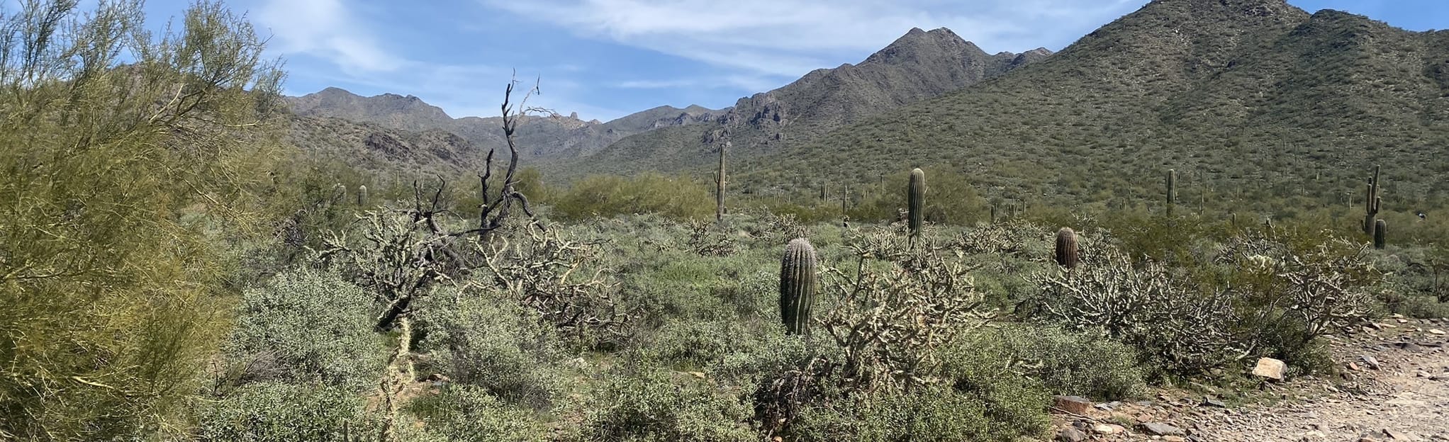 Inspiration Point via Saguaro, Gateway, and Windgate Pass Trails ...