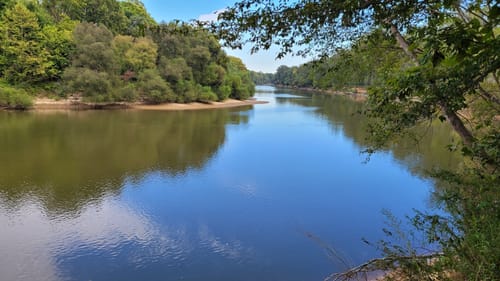 Best Hikes and Trails in Great Pee Dee Heritage Preserve | AllTrails