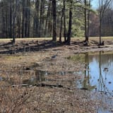 Lake Pine Loop, North Carolina - 920 Reviews, Map | AllTrails