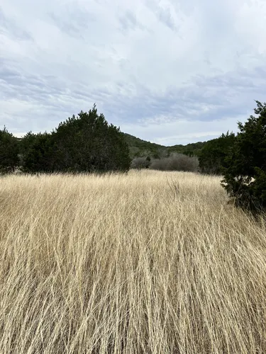 Best Hikes and Trails in Kickapoo Cavern State Park | AllTrails