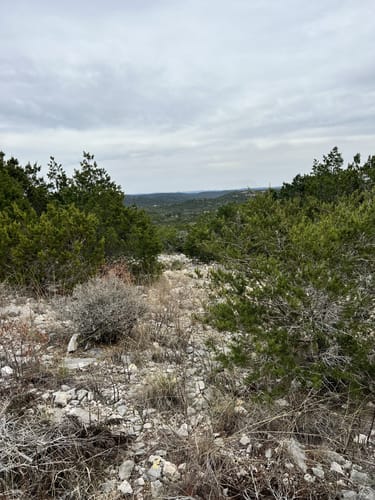 Best Hikes and Trails in Kickapoo Cavern State Park | AllTrails